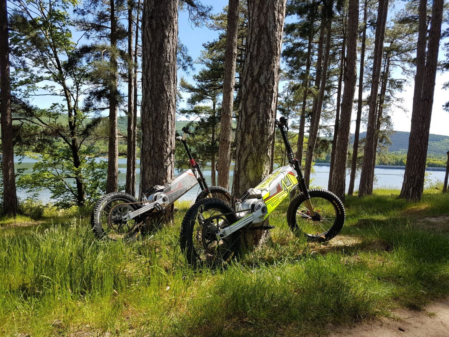 Servicios grupales - Wattever